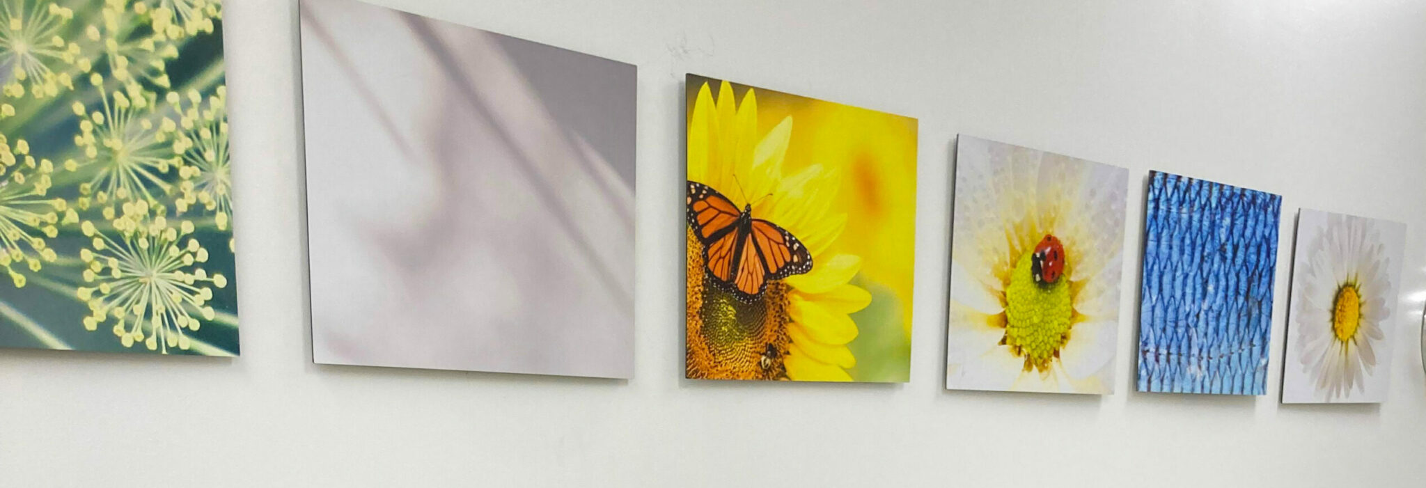 Liberty - Refuah Health